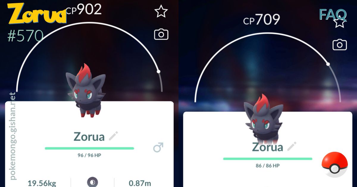 Zorua FAQ - Pokemon Go
